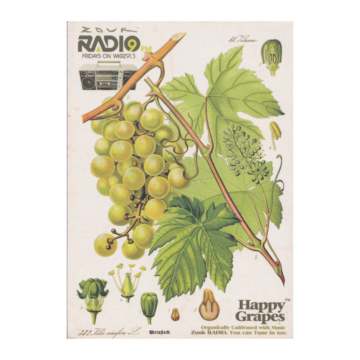 Happy Grapes | Singapore Graphic Archives