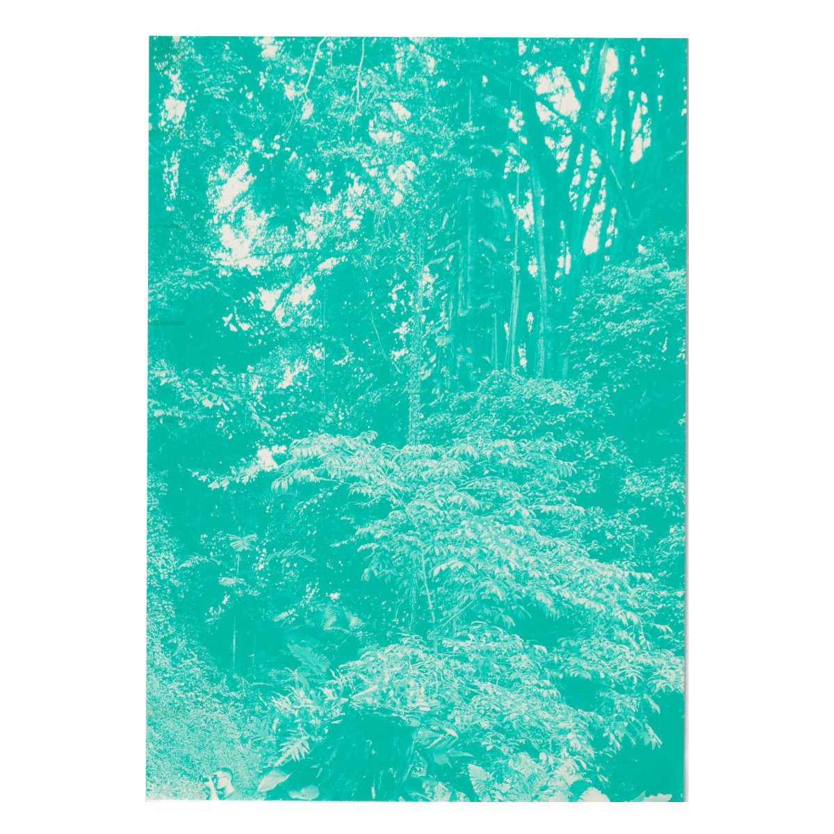 INSITU Fort Canning Hill | Singapore Graphic Archives